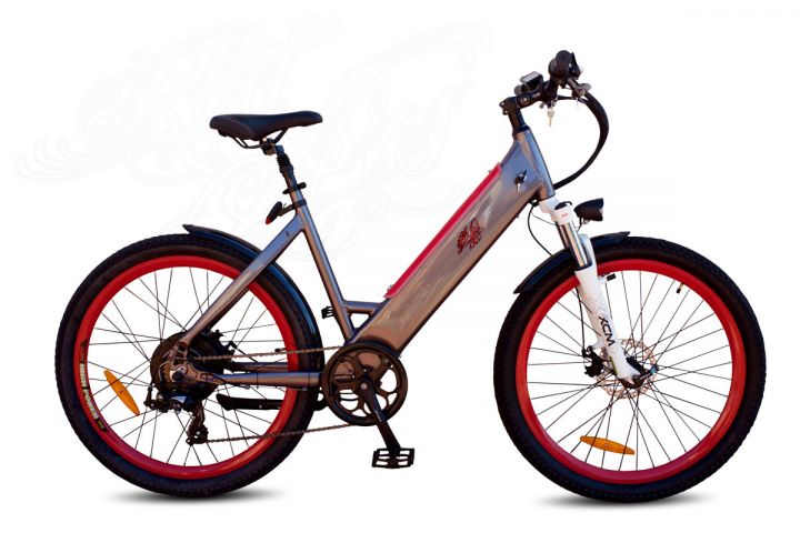 Electric bikes Rodars Road Runner