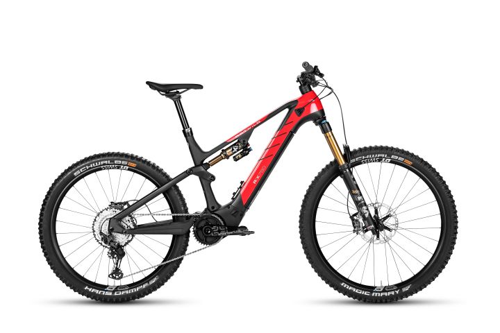 Electric bikes Rotwild R.X750 Pro