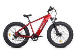Rodars Kraken - Hardtail MTB Fatbike - 250W Bafang Hub Motor